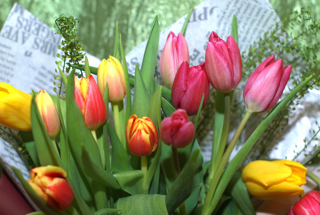 2,000+ Free March & Nature Images - Pixabay