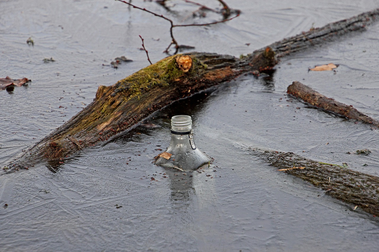 100+ Free Ice Age & Winter Images - Pixabay