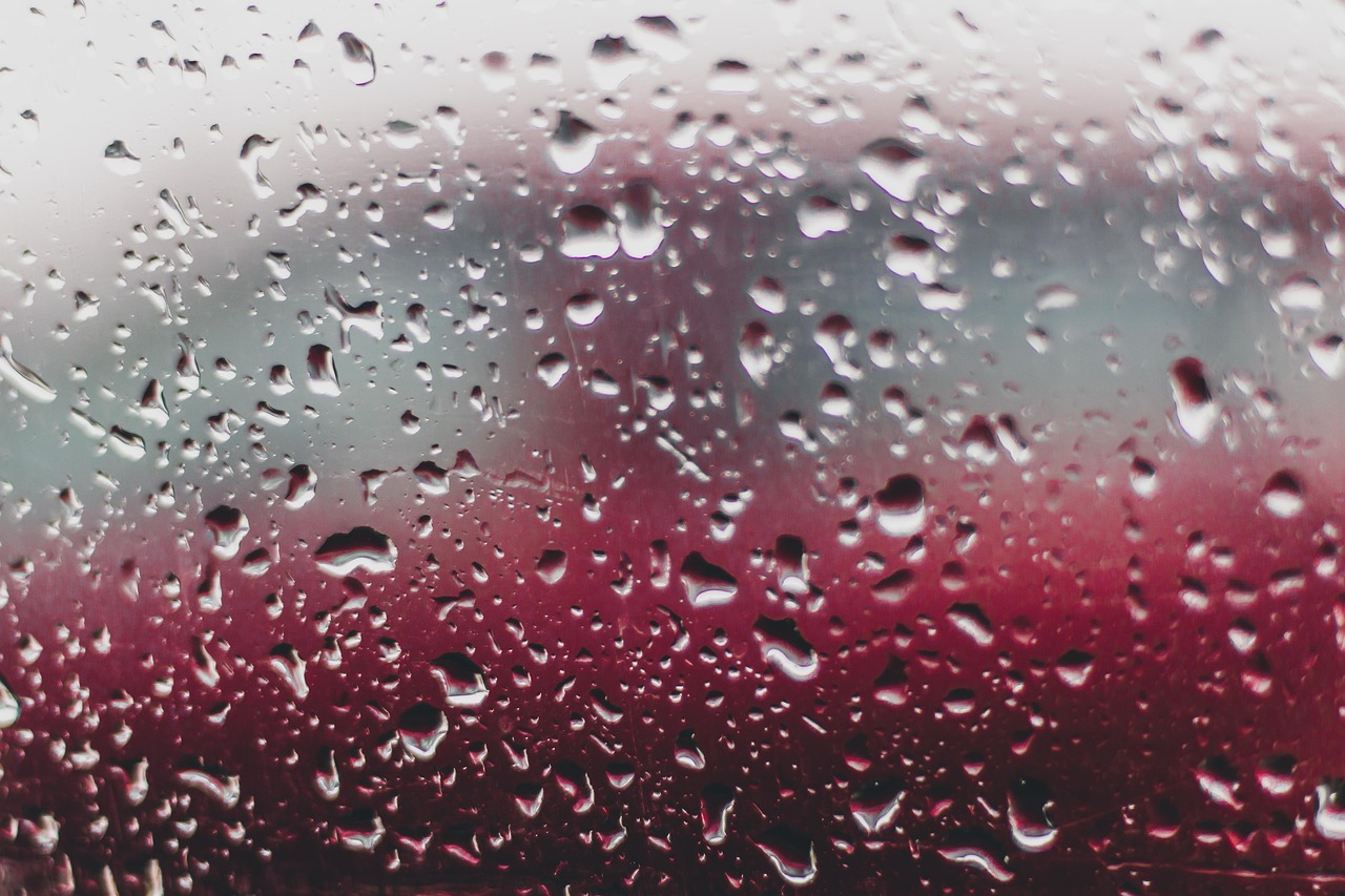 Wet Rain Dropped - Free photo on Pixabay