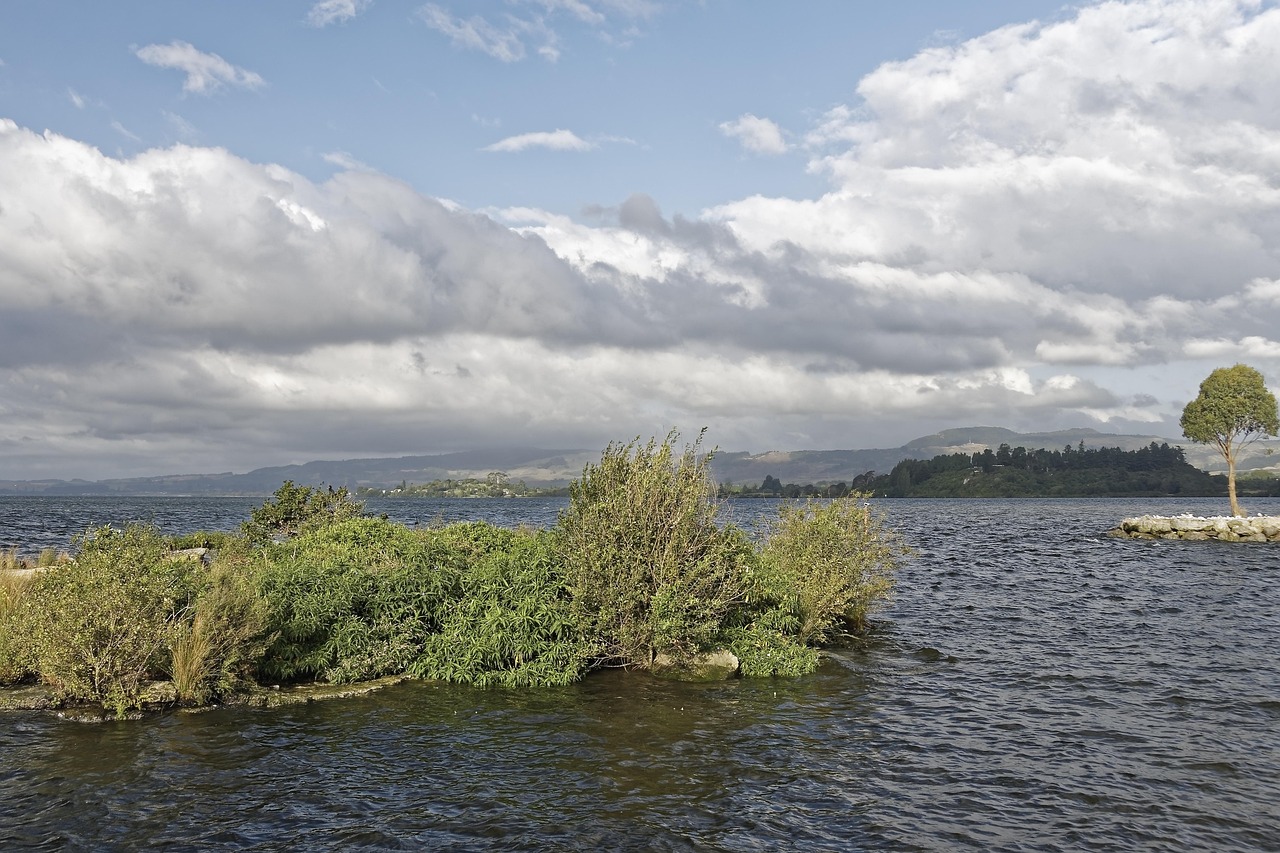 70+ Free Rotorua & New Zealand Images - Pixabay