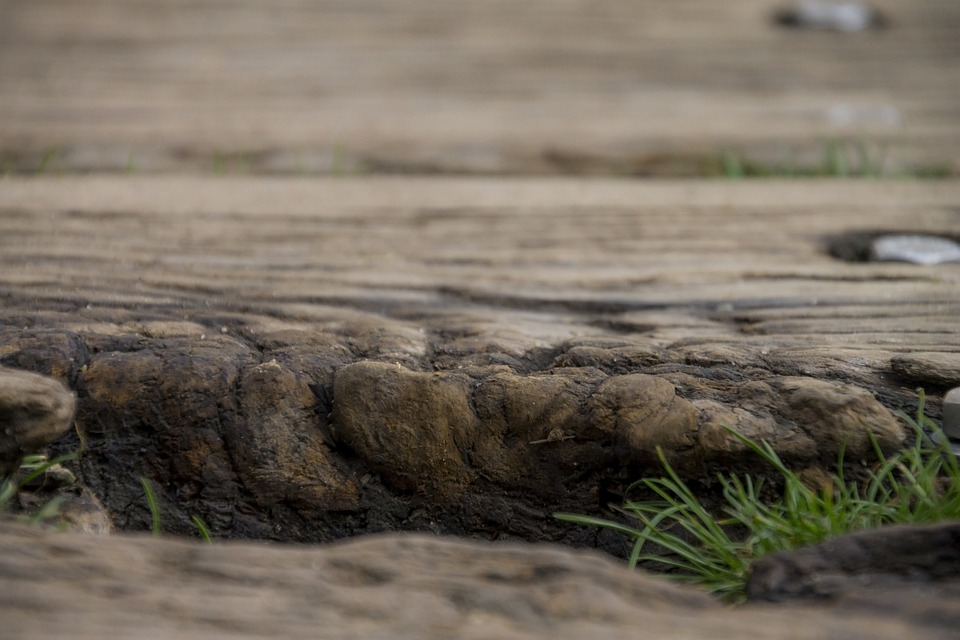 Wood Grass Bolt - Free photo on Pixabay