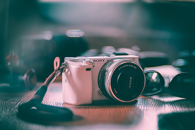 Sony A6000 Ilce-6000 - Free photo on Pixabay - Pixabay