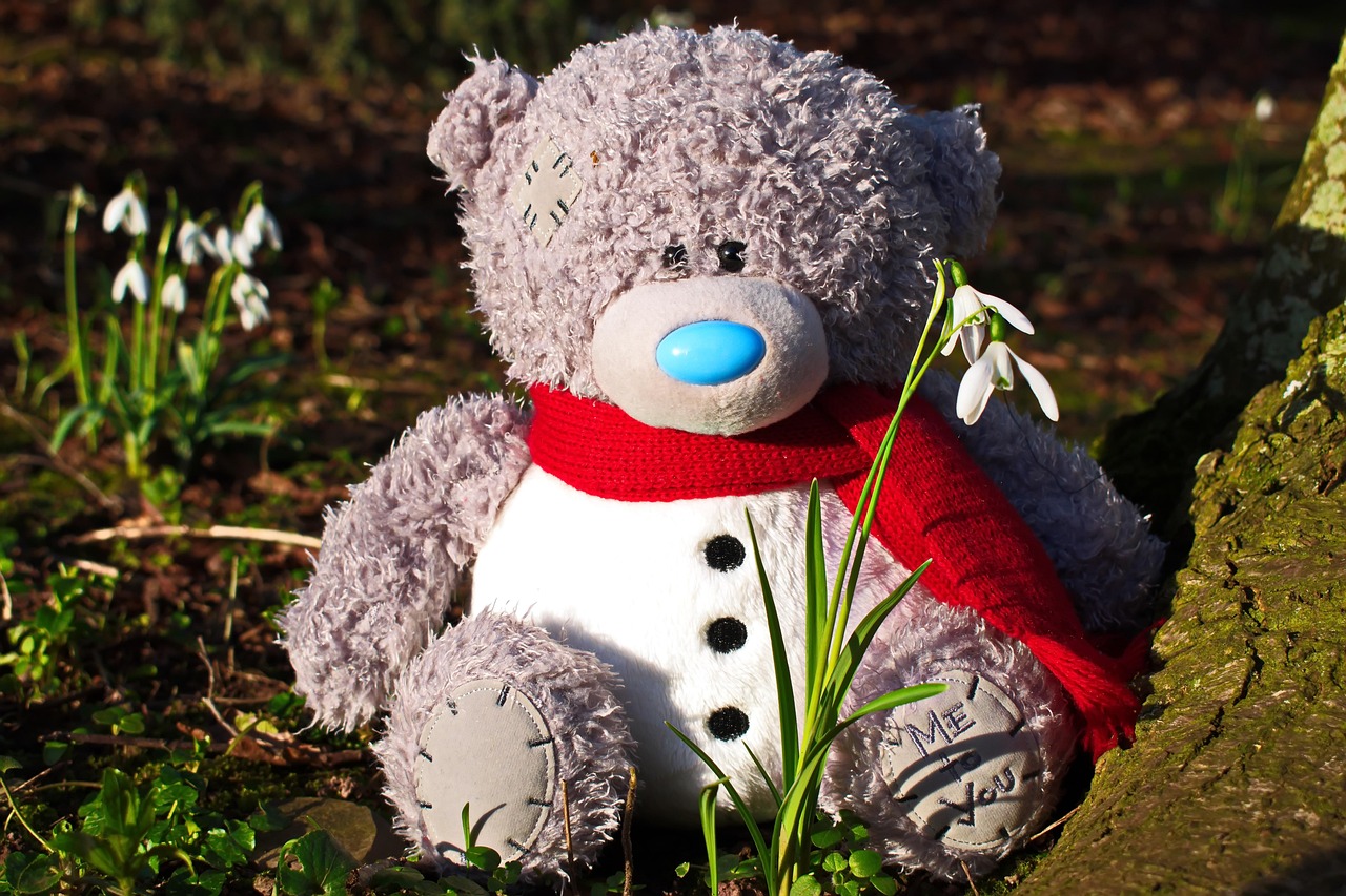 40,000+ Free Spring Is Here & Spring Images - Pixabay