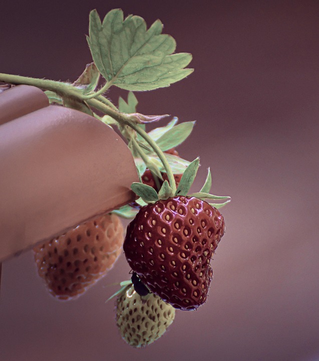 Strawberries Fruit Close Up - Free photo on Pixabay - Pixabay