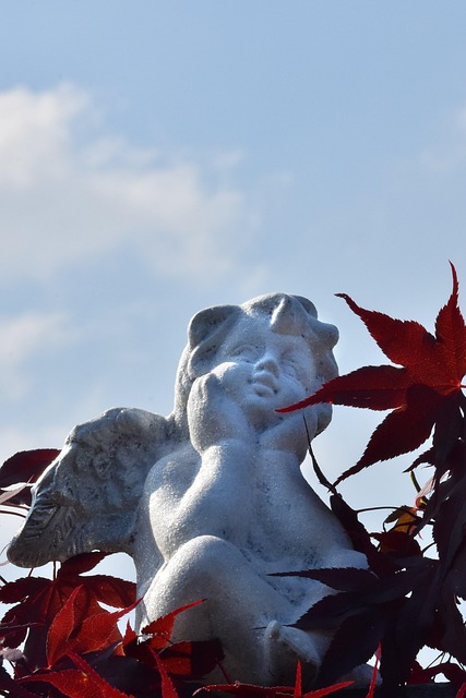 20,000+ Free Angel Images & Angel Images - Pixabay