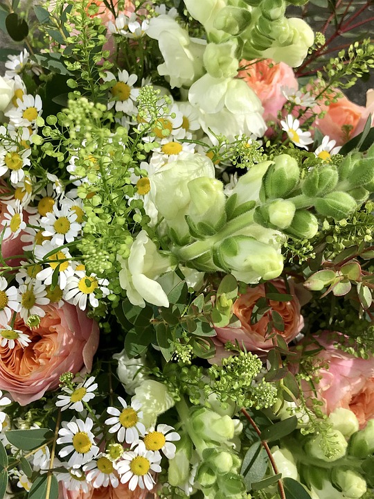 Flower Ostrich Bunch Of Flowers - Free photo on Pixabay - Pixabay