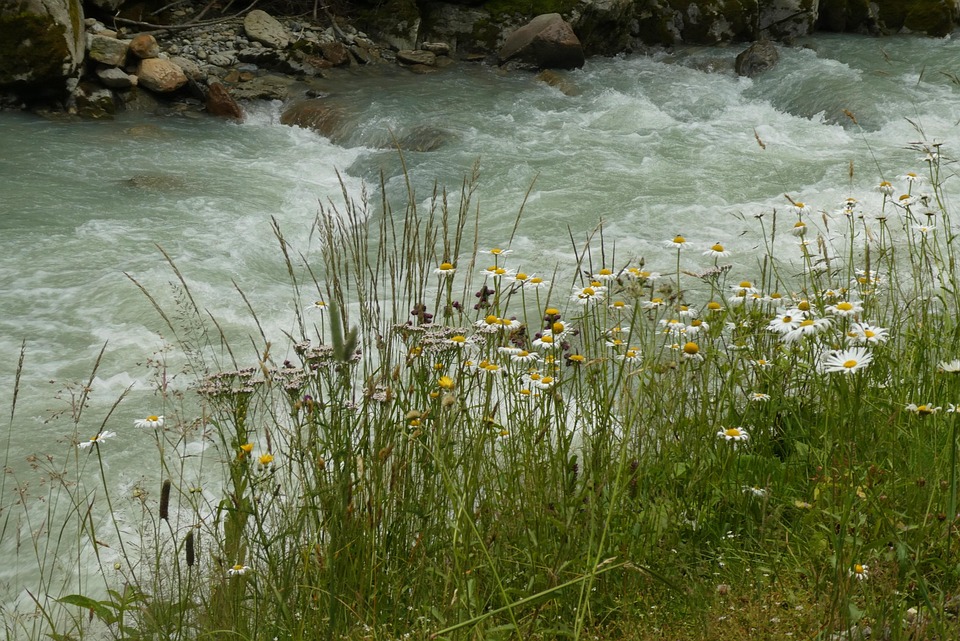 Flow Brook Water - Free photo on Pixabay - Pixabay