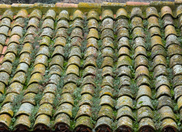 Tejado Tejas Teja Árabe - Foto gratis en Pixabay - Pixabay