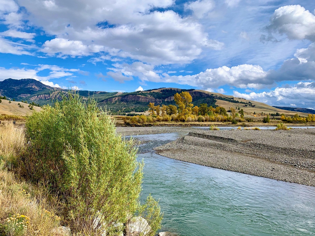 800+ Free Yellowstone National Park & Yellowstone Images - Pixabay