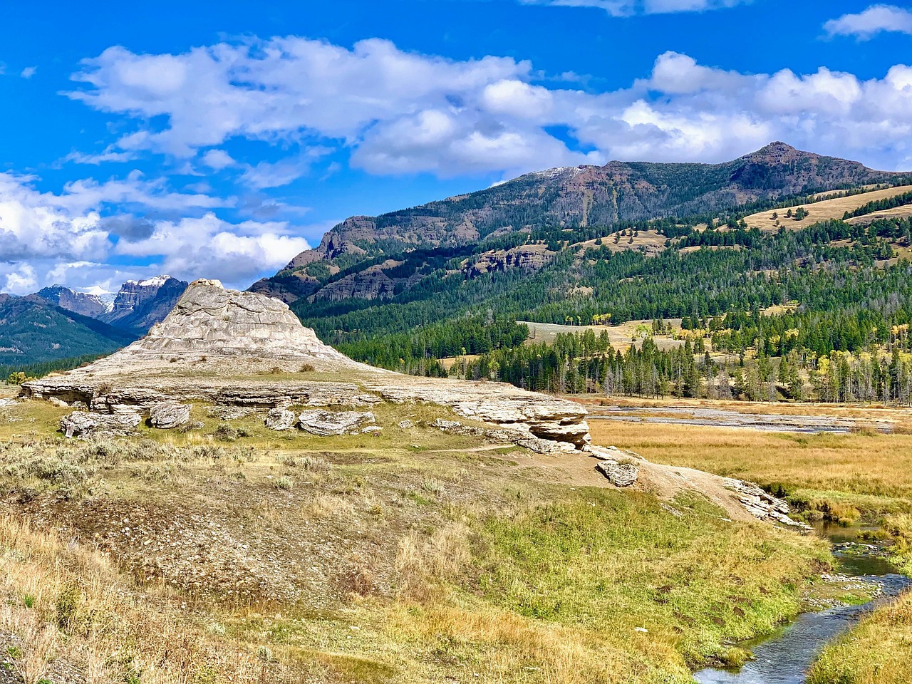Yellowstone Parque Nacional - Foto gratis en Pixabay - Pixabay