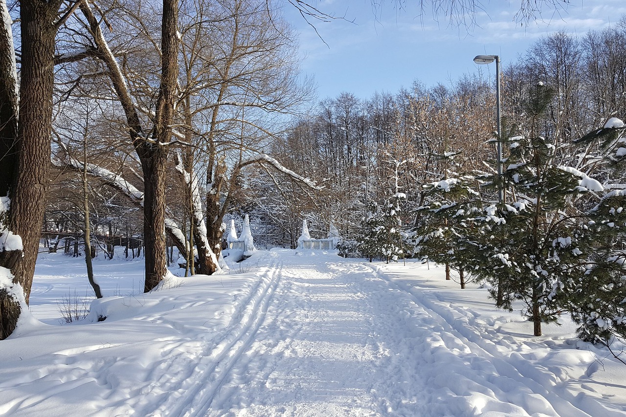 Winter Schnee Frost - Kostenloses Foto auf Pixabay - Pixabay