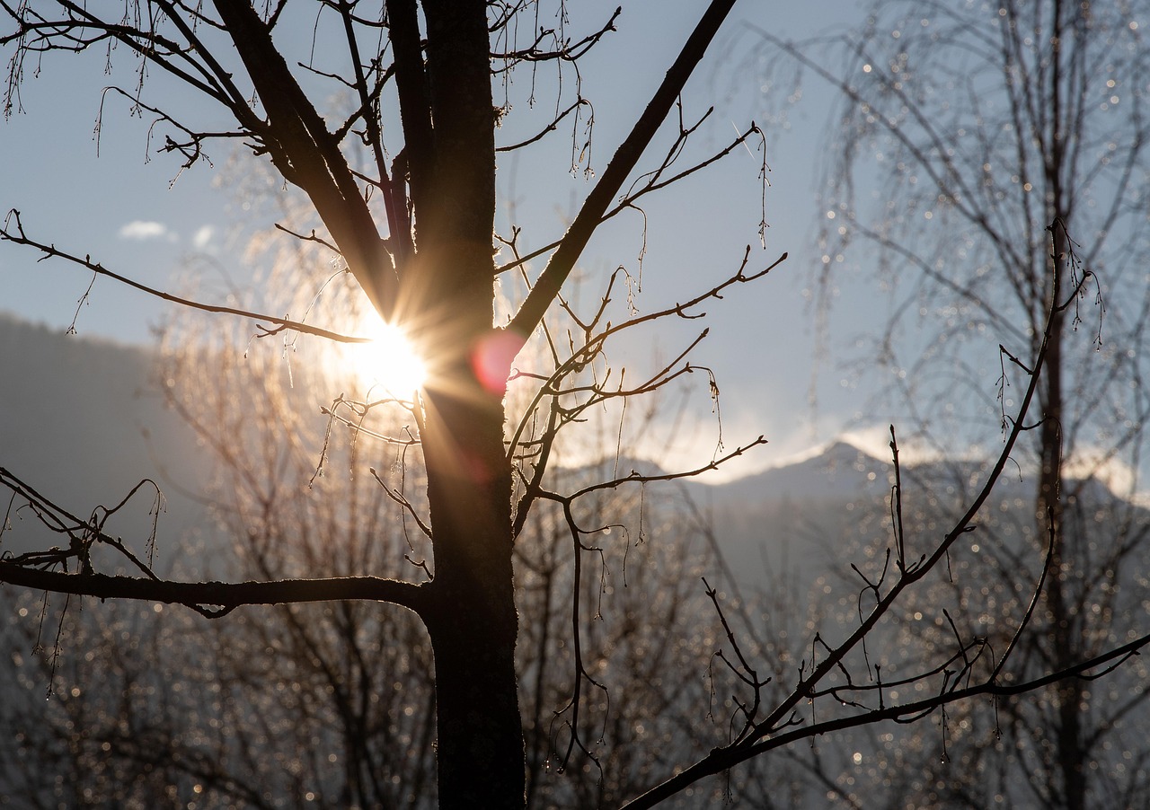 100,000+ Free Get Up & Nature Images - Pixabay