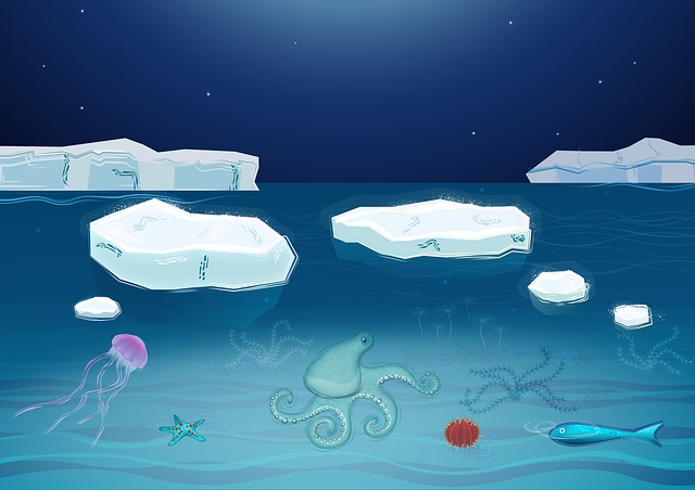 Antarctique Mer De Glace Banquise - Image gratuite sur Pixabay - Pixabay