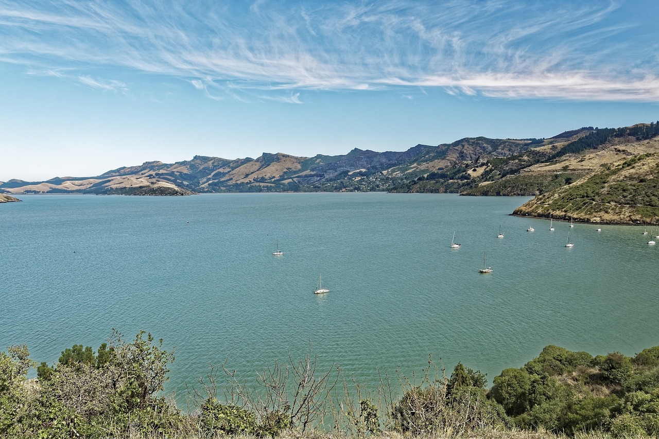 100+ Free Christchurch & New Zealand Images - Pixabay