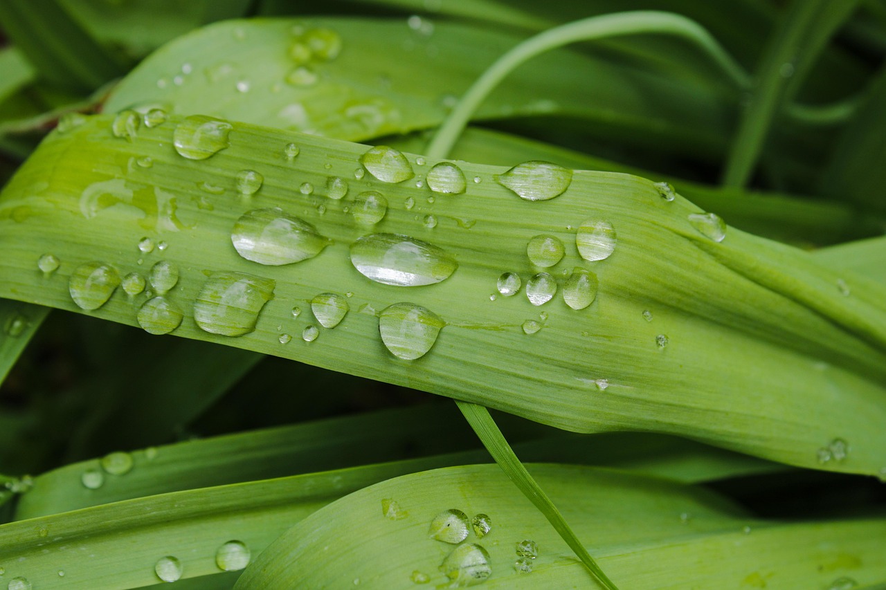 200.000+ kostenlose Drop Into Water und Water-Bilder - Pixabay