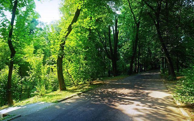 Paisaje La Naturaleza Parque - Foto gratis en Pixabay - Pixabay