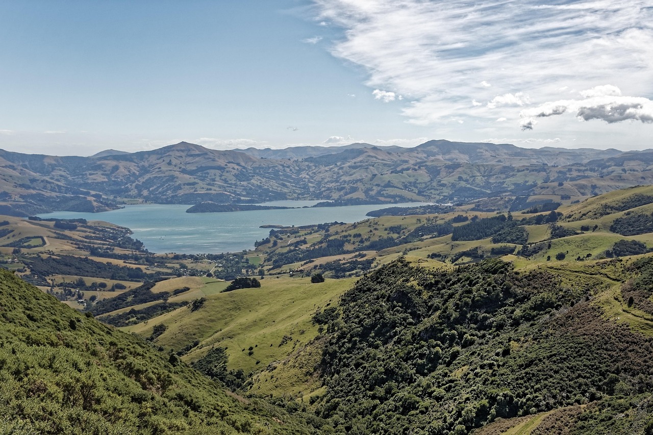 100+ Free Christchurch & New Zealand Images - Pixabay