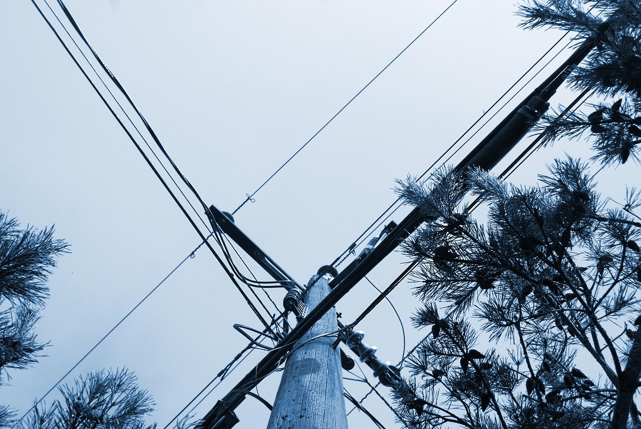 40,000+ Free Telephone Pole Human & Human Images - Pixabay