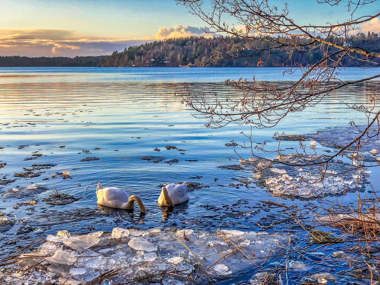 Sweden Winter Snow - Free photo on Pixabay