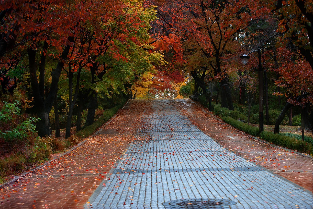 Autumn Child Park Street - Free photo on Pixabay