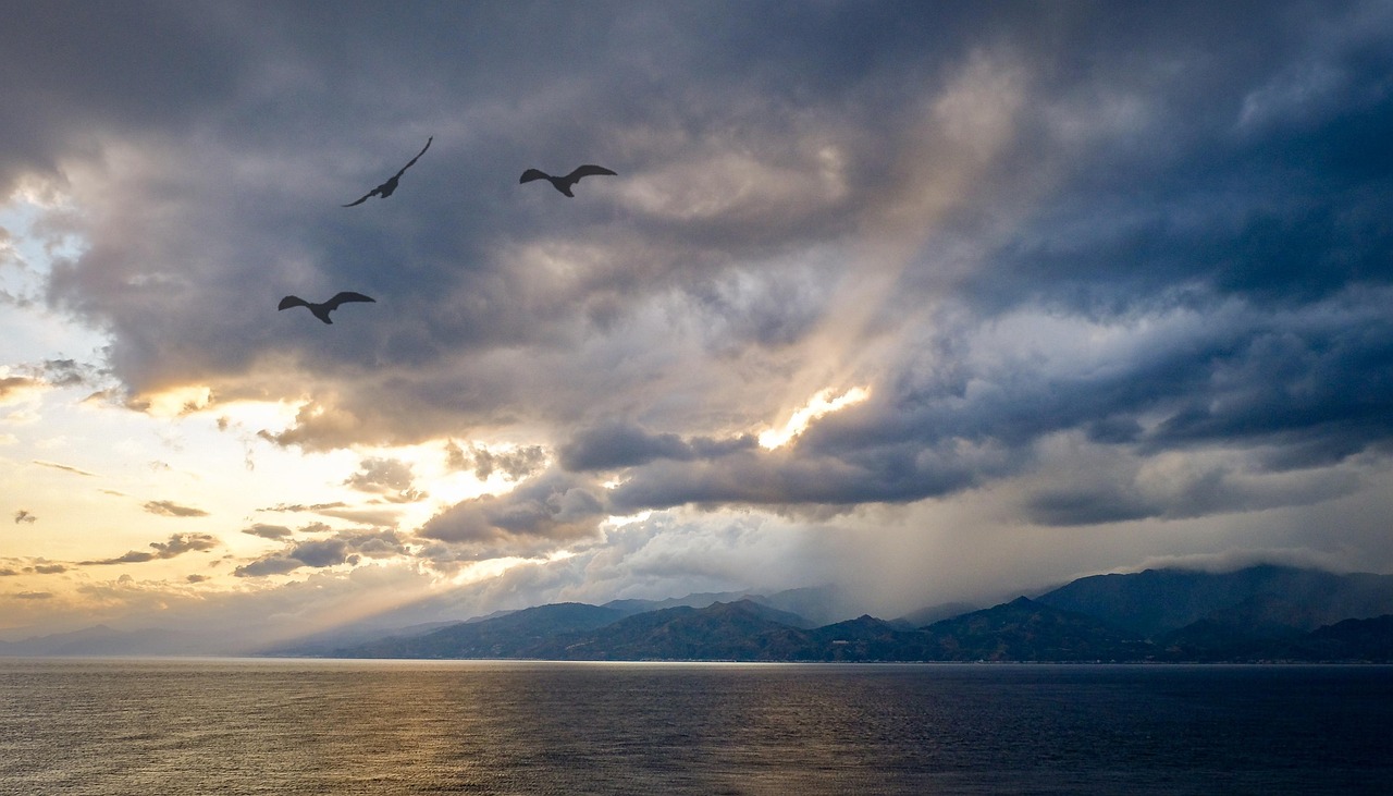 Oltre 50 foto Messina & Mare gratis - Pixabay