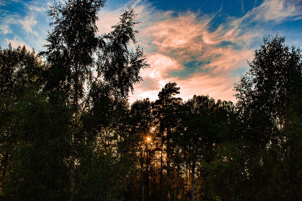 Sunset Sweden Eve - Free photo on Pixabay