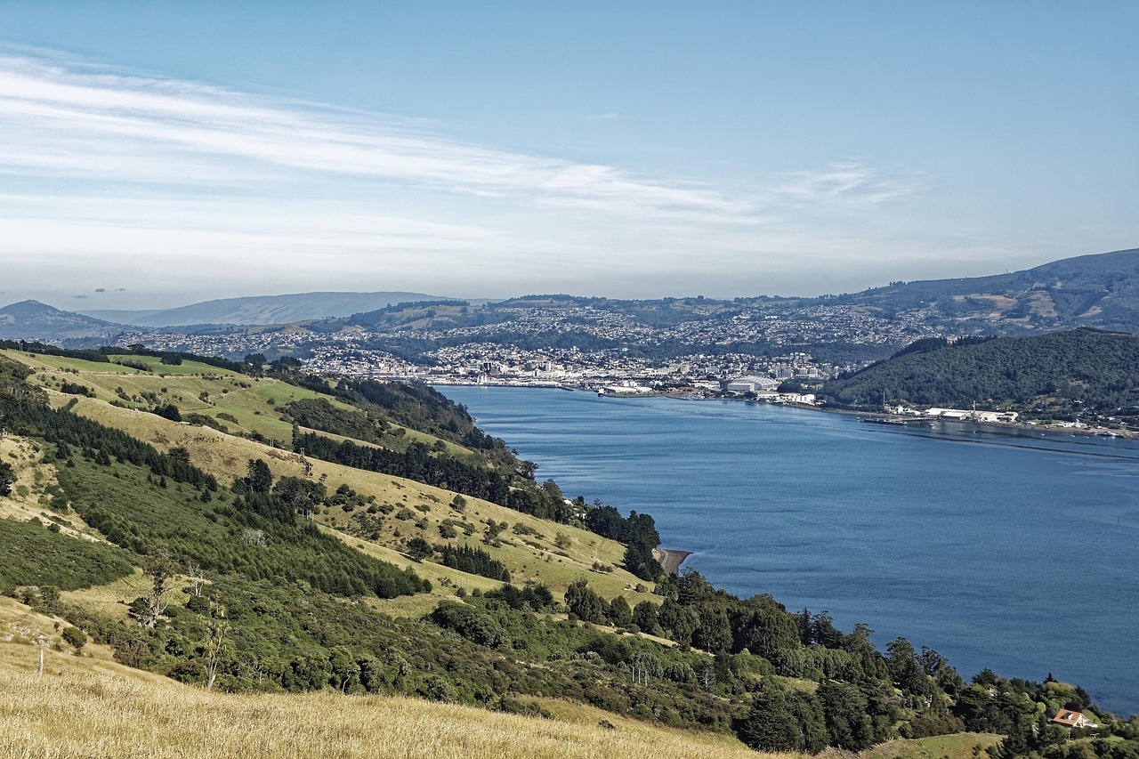 3,000+ Free Otago Region & Otago Images - Pixabay