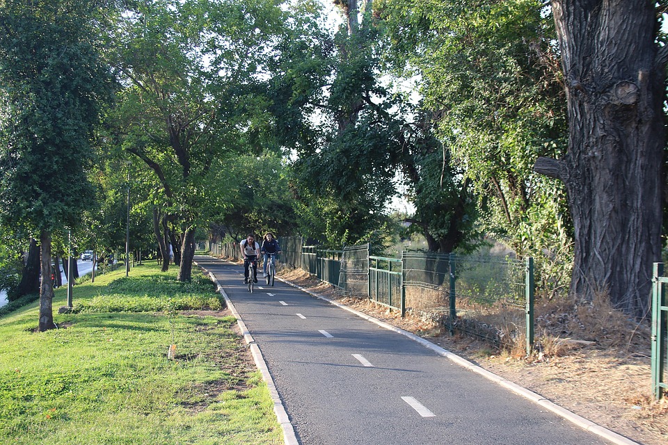 Radweg Vegetation Park - Free photo on Pixabay - Pixabay