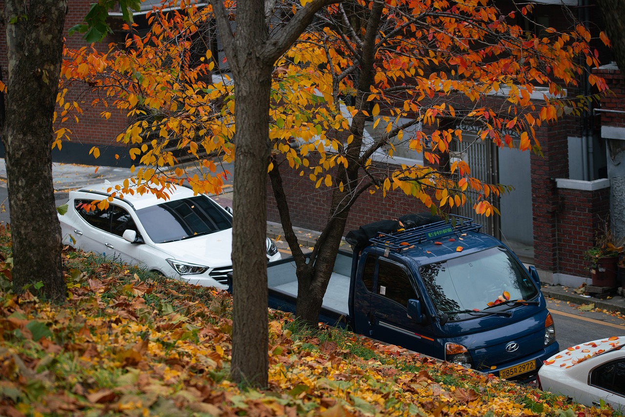 Neighborhood Autumn Leaves - Free photo on Pixabay - Pixabay
