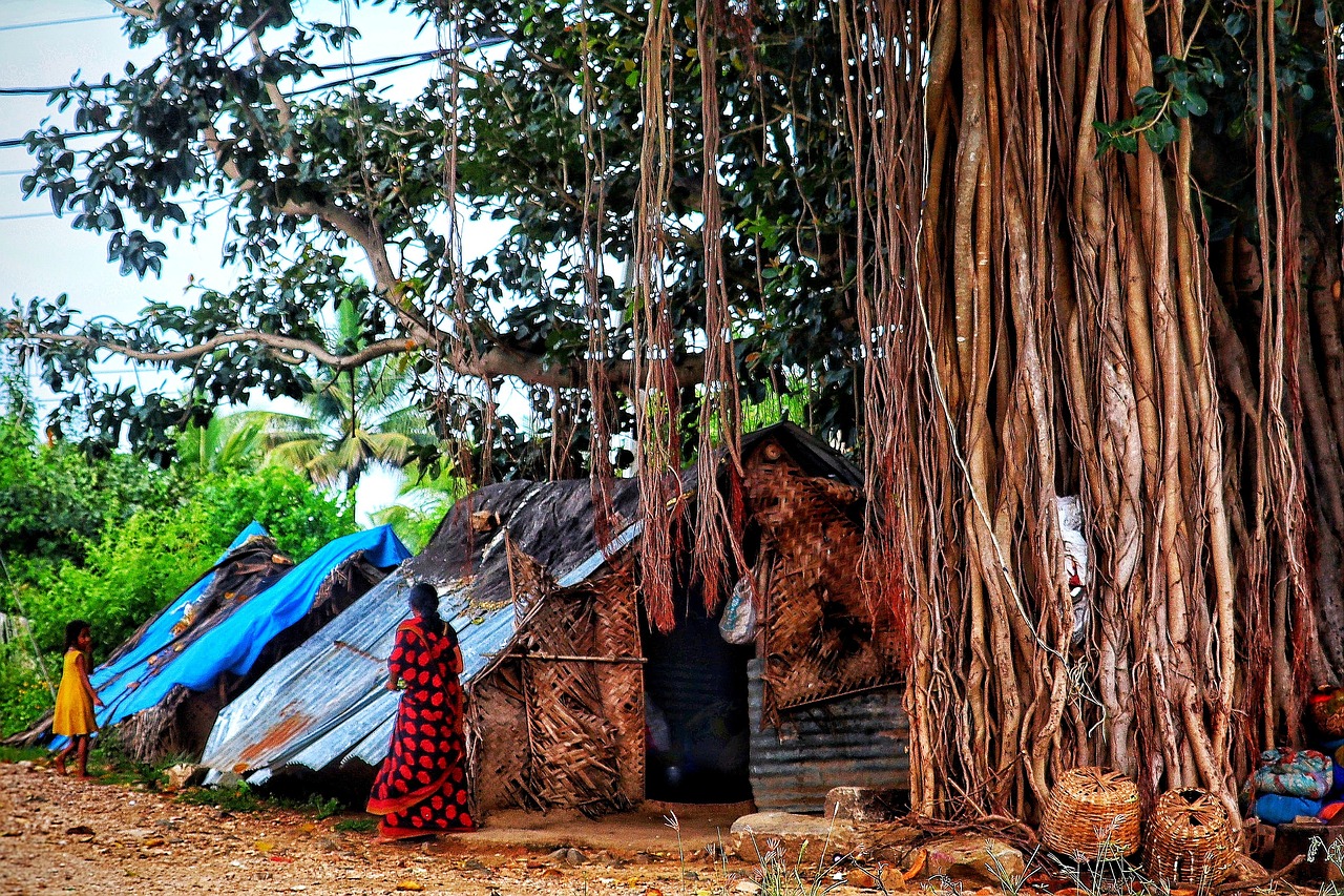 India Straw Hut Tin Roof - Free photo on Pixabay - Pixabay