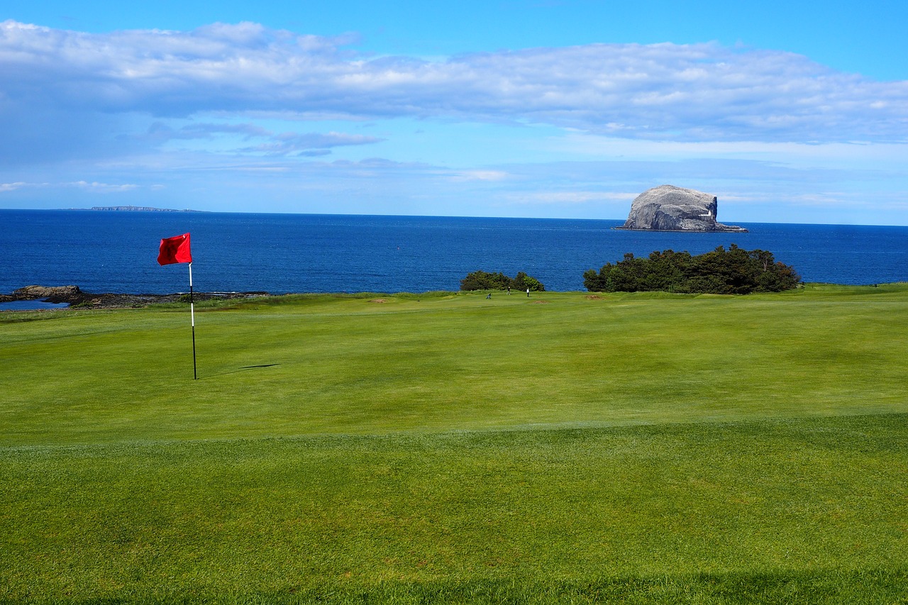 Sport Golf Gra - Darmowe zdjęcie na Pixabay - Pixabay