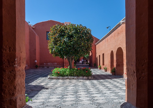 Pátio Mosteiro Árvore - Foto gratuita no Pixabay - Pixabay