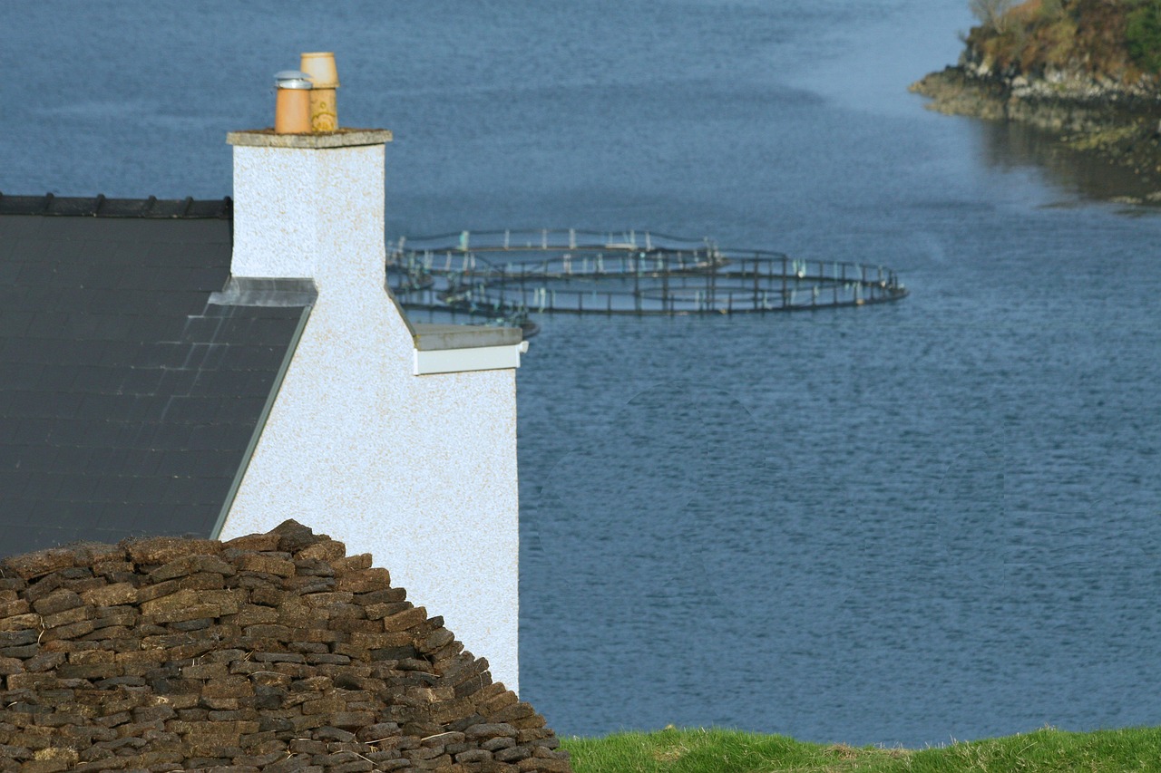 20,000+ Free Fishing Farm & Fish Farming Images - Pixabay