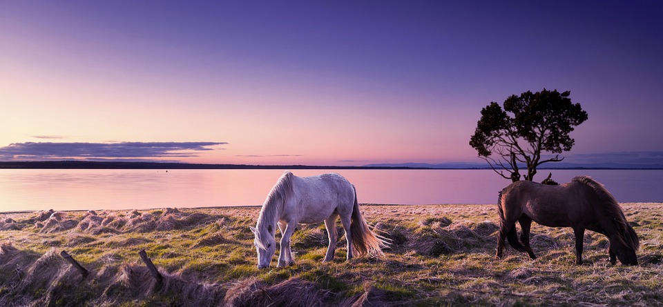 Naturaleza Mar Horizonte - Foto gratis en Pixabay - Pixabay