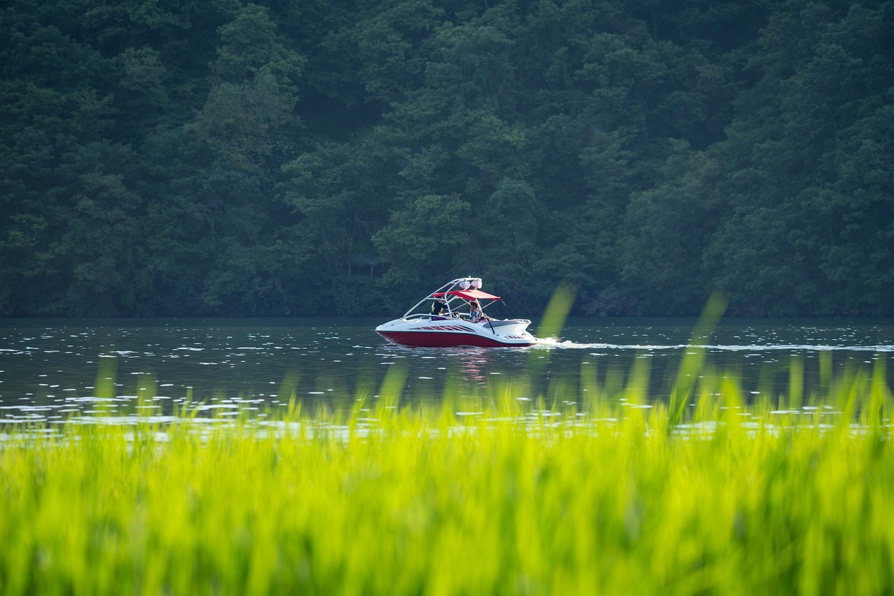 Bootfahren Sumer Fluss Viel - Kostenloses Foto auf Pixabay - Pixabay