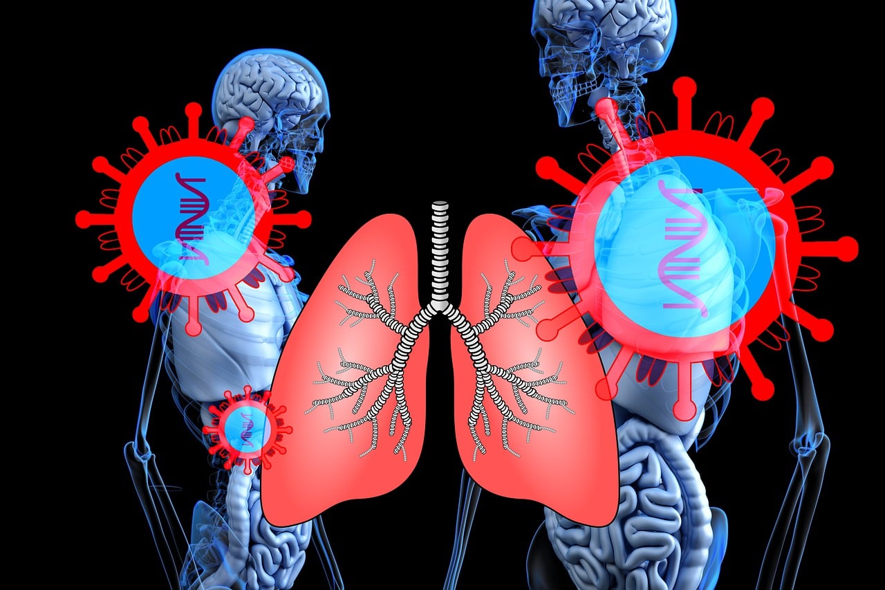 20,000+ Free Lungs Health & Health Images - Pixabay