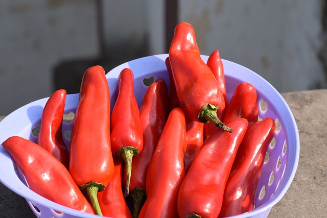 Chiles Rojos Chile Pimienta - Foto gratis en Pixabay - Pixabay