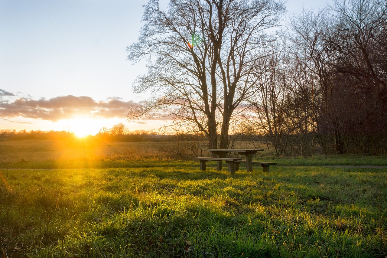 Otoño Atardecer Bosque Arboles - Foto gratis en Pixabay