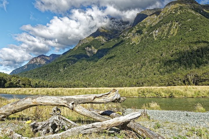 100+ Free New Zealand River & New Zealand Images - Pixabay