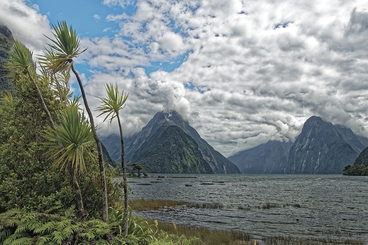 200+ Free Nature Sounds & Nature Images
