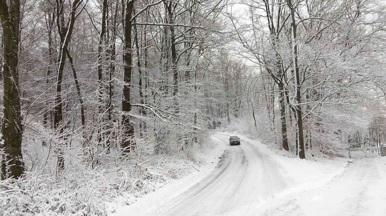 Inverno Neve Floresta - Foto gratuita no Pixabay - Pixabay