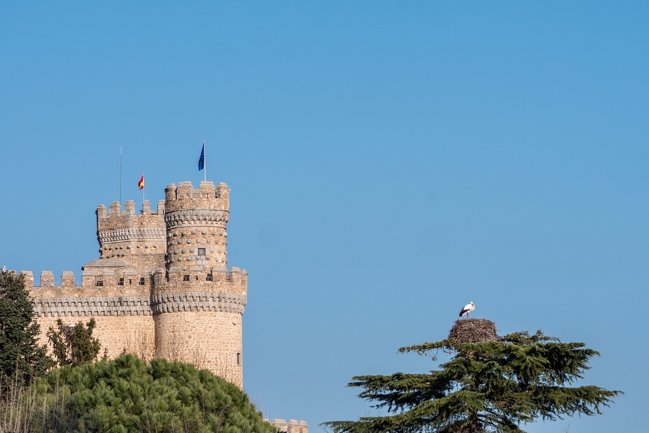 Bell Tower Castle Trees - Free photo on Pixabay - Pixabay