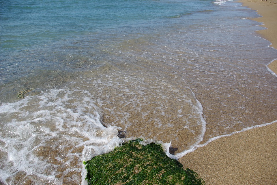 Sea Vacations Water - Free photo on Pixabay - Pixabay