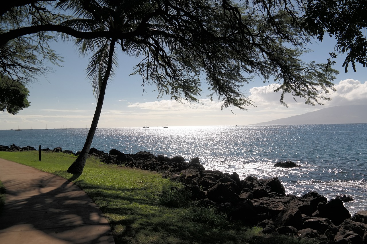 300+ Free Maui & Hawaii Images - Pixabay