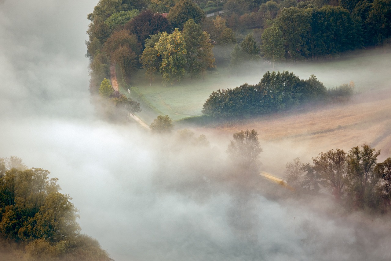 Nebel Panorama Feder - Kostenloses Foto auf Pixabay - Pixabay