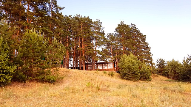 Estepa Bosque Paisaje - Foto gratis en Pixabay - Pixabay