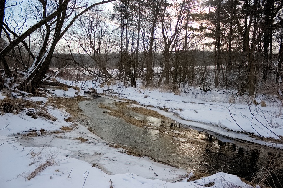 Winter Stream Water - Free photo on Pixabay