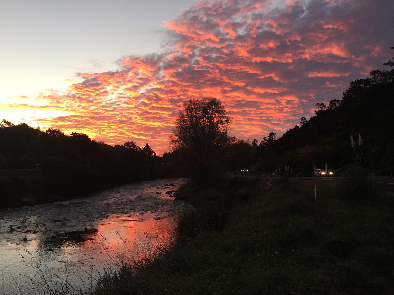 Neuseeland Waihi Karangahake Gorge - Kostenloses Foto auf Pixabay - Pixabay