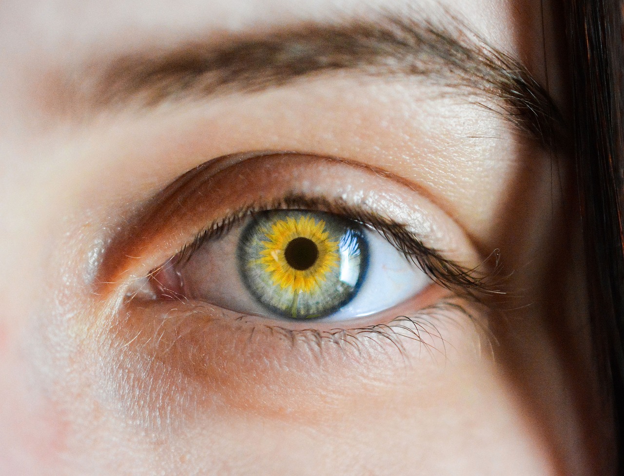 Plus de 30 images de Ojos Cerrando et de Ojos - Pixabay