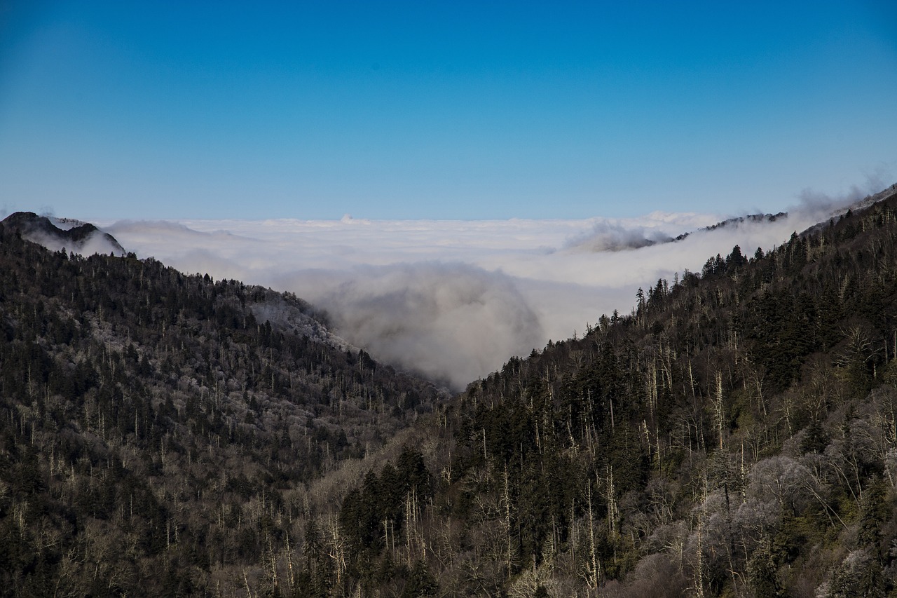 50,000+ Free Smokey Background & Smokey Images - Pixabay